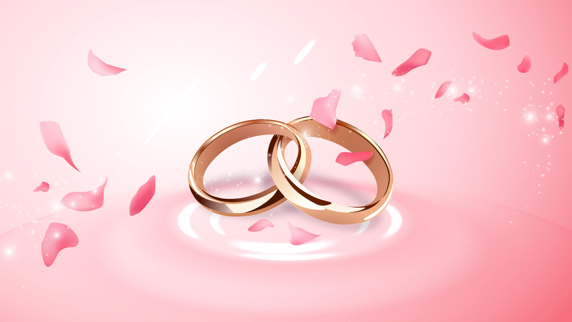 Special partner – Funbridge Blog